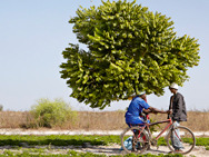 Orange Money overview | Orange Botswana