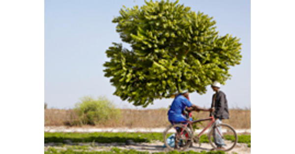 Orange Money tariffs | Orange Money overview | Orange Botswana